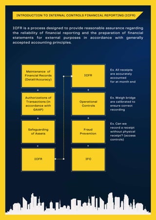 Internal financial controls | PDF