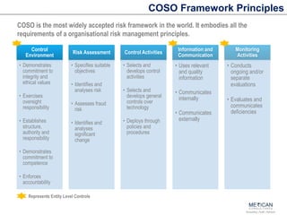 Internal Financial Controls | PPTX