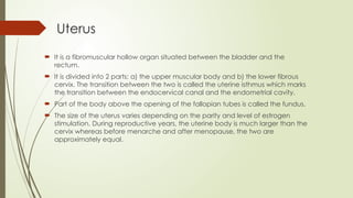 InternalGenitaliaFemale - anatomy of uterus ft ovaries | PPTX