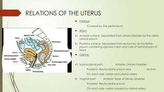 InternalGenitaliaFemale - anatomy of uterus ft ovaries | PPTX