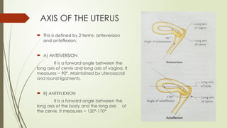 InternalGenitaliaFemale - anatomy of uterus ft ovaries | PPTX