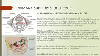InternalGenitaliaFemale - anatomy of uterus ft ovaries | PPTX