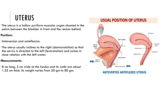 ANATOMY OF FEMALE INTERNAL GENITAL ORGANS.pptx