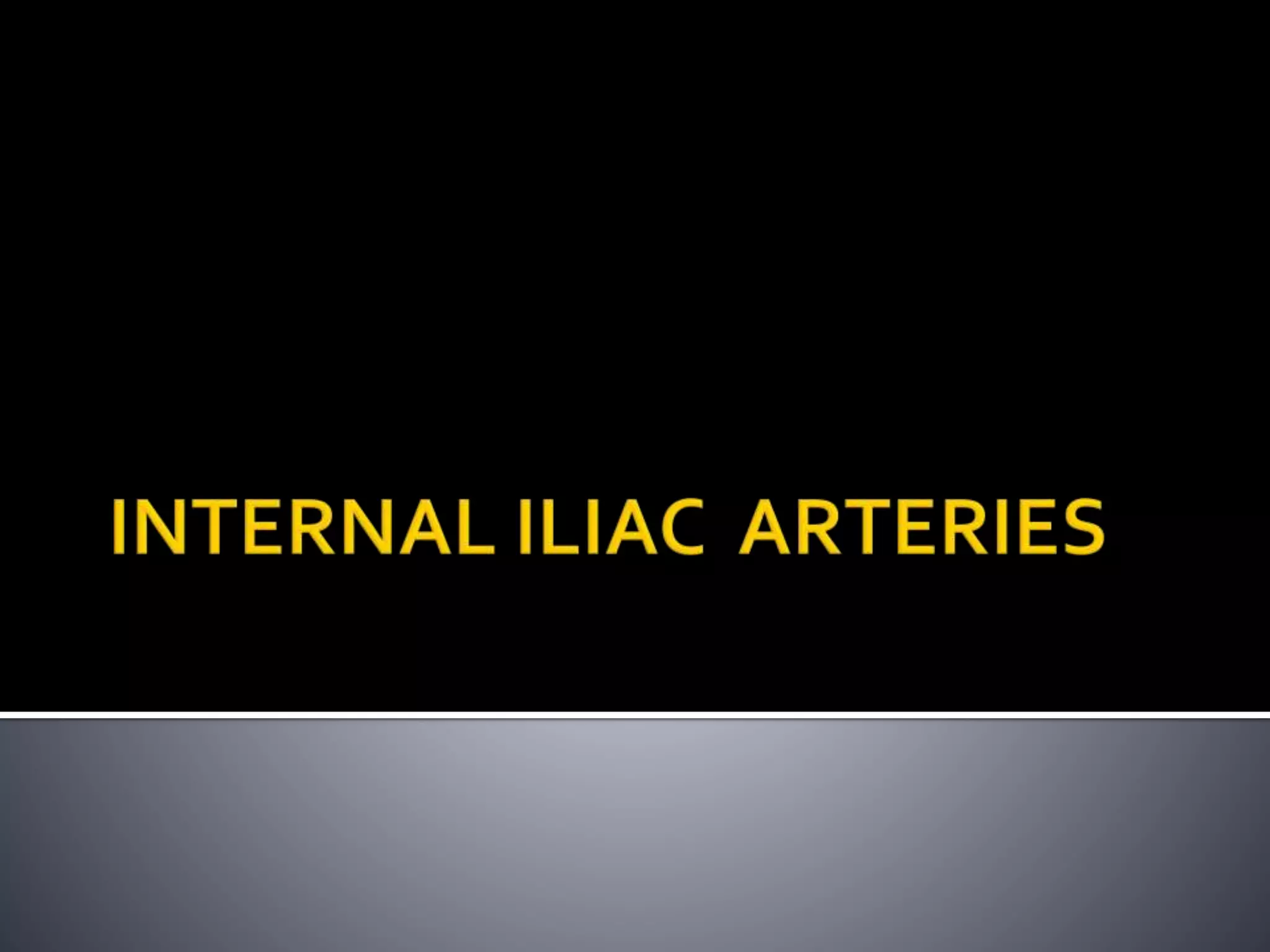 Anatomy of Internal Iliac arteries.pptx