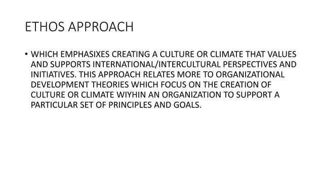 INTERNALIZATION.pptx | Undergraduate Education | College Education