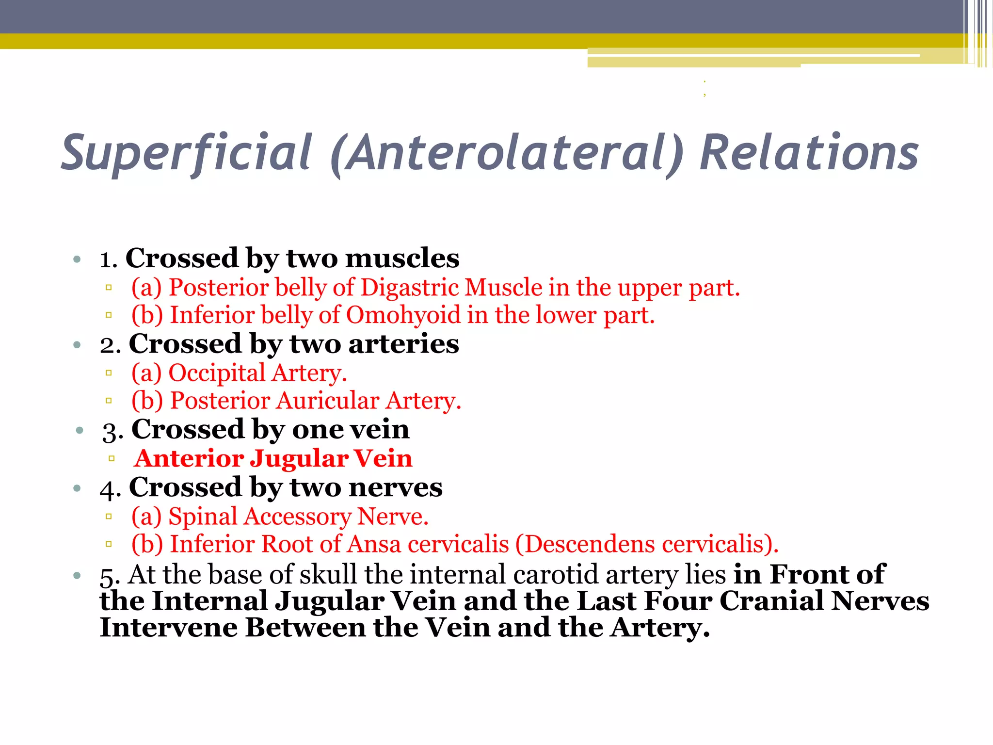 Internal jugular vein by dr.meher | PPTX