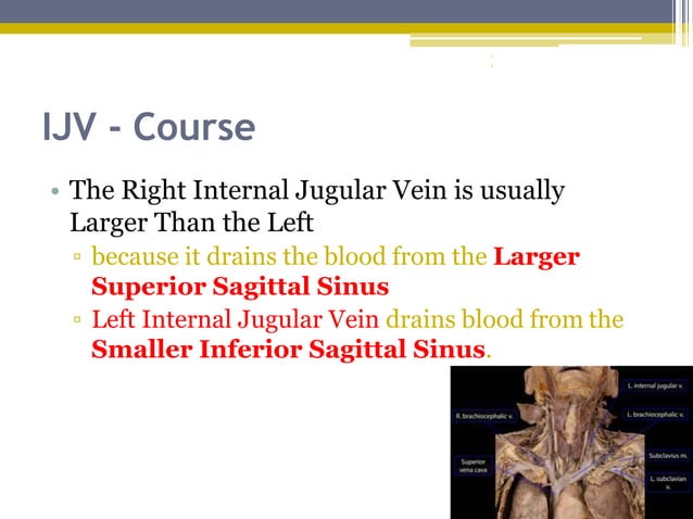 Internal jugular vein by dr.meher | PPTX
