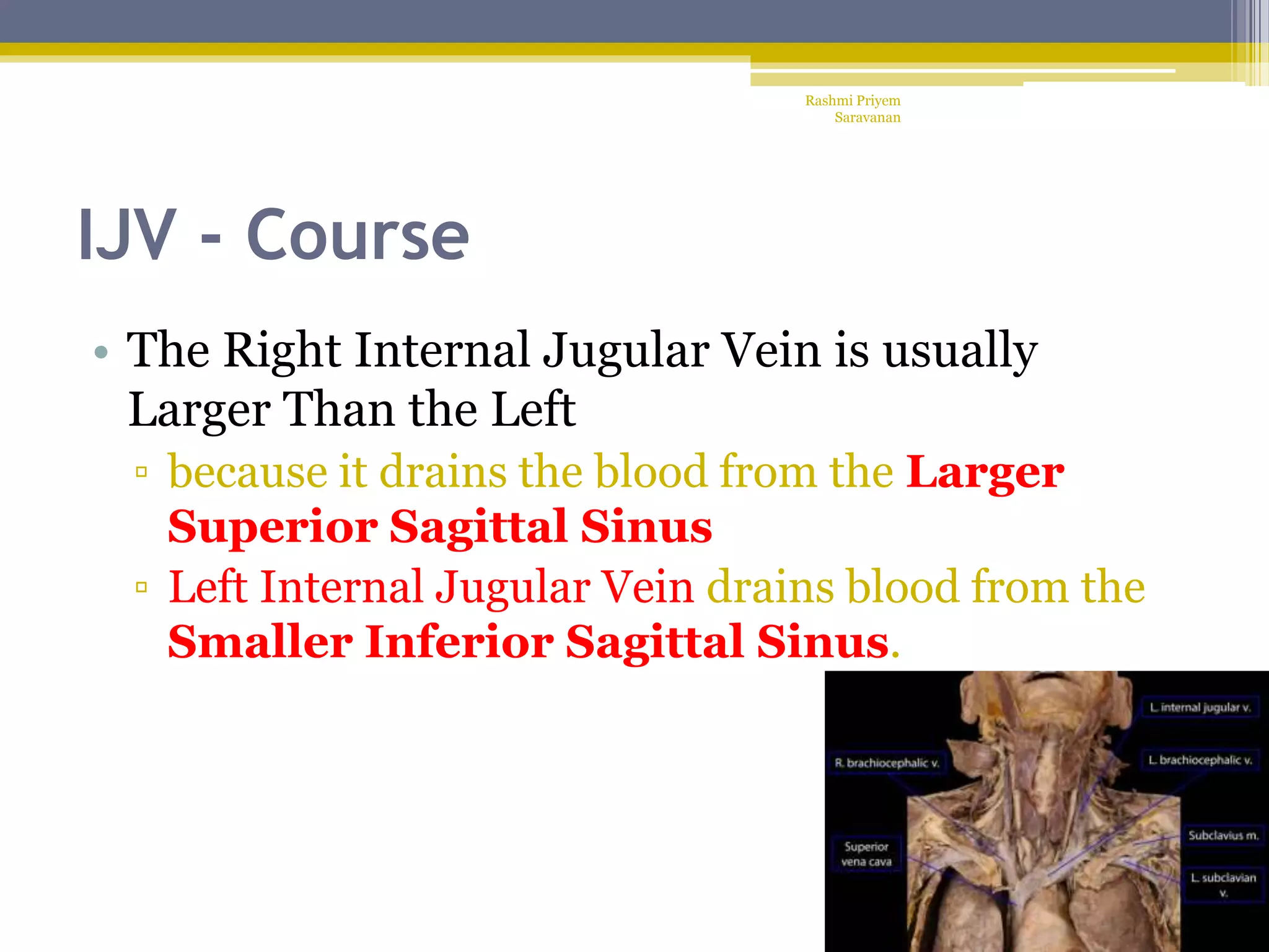 Internal Jugular Vein | PPTX