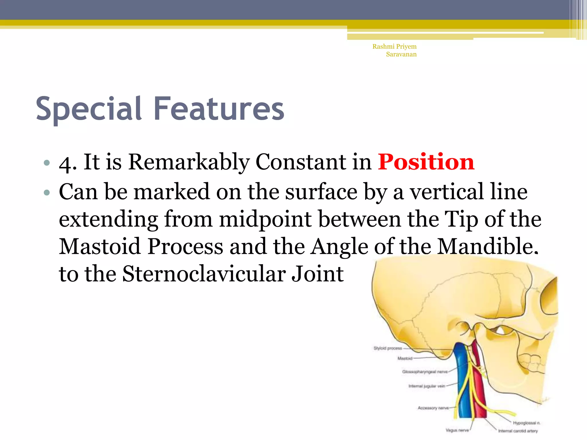 Internal Jugular Vein | PPTX