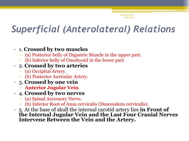 Internal Jugular Vein | PPTX