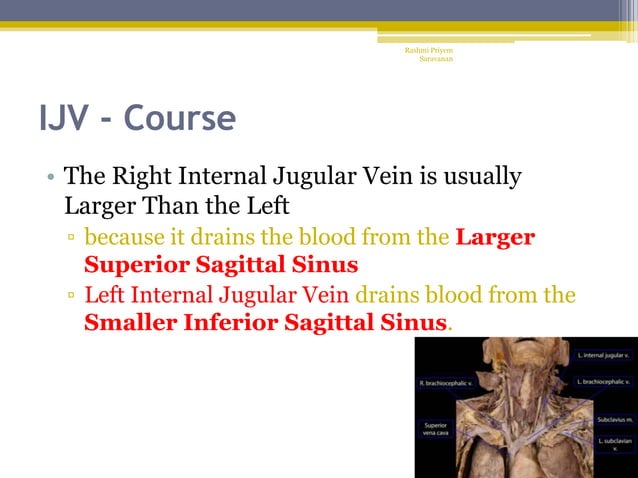 Internal Jugular Vein | PPTX