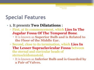 Internal Jugular Vein | PPTX