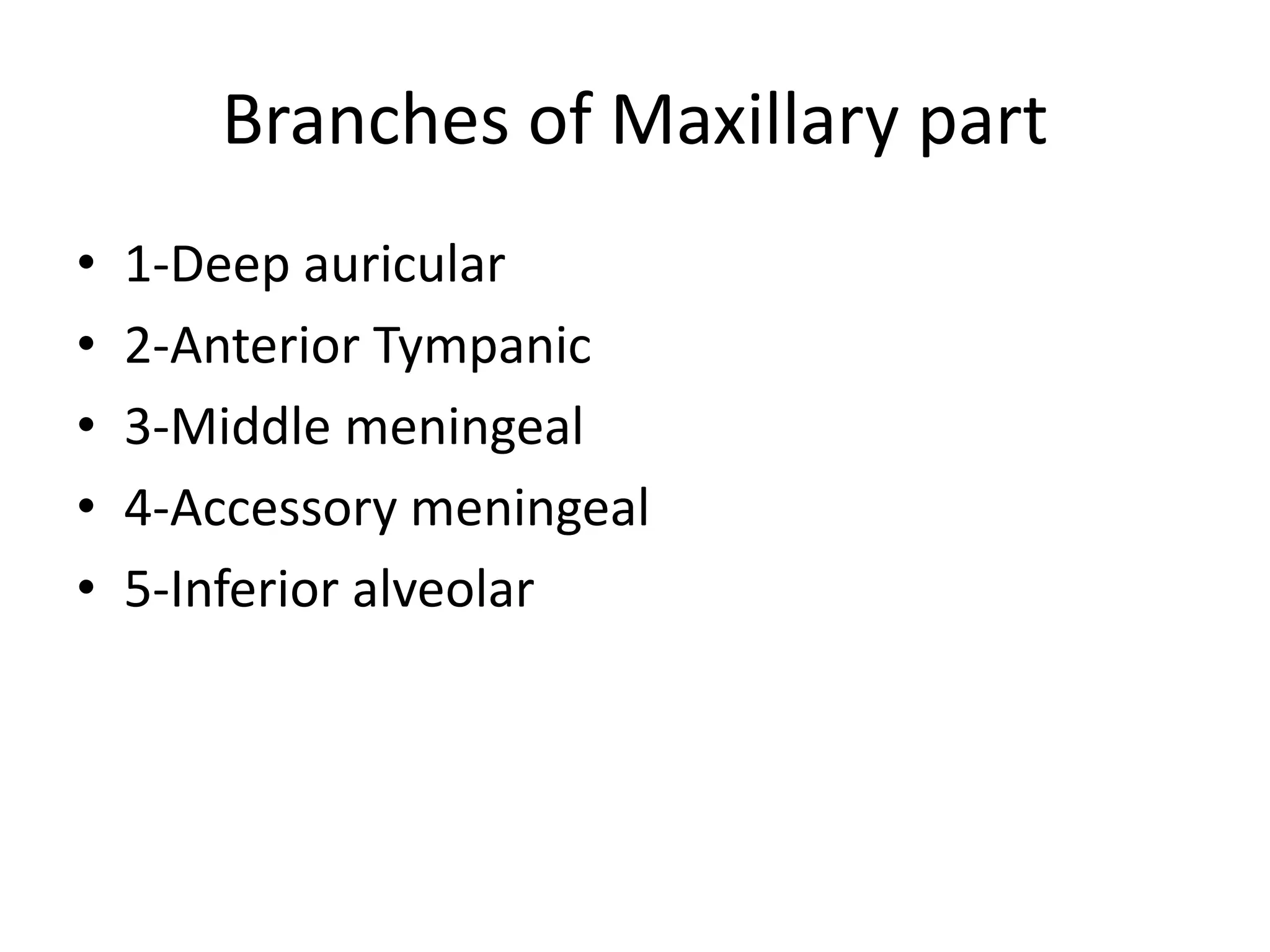Internal maxillary artery & its branches | PPTX