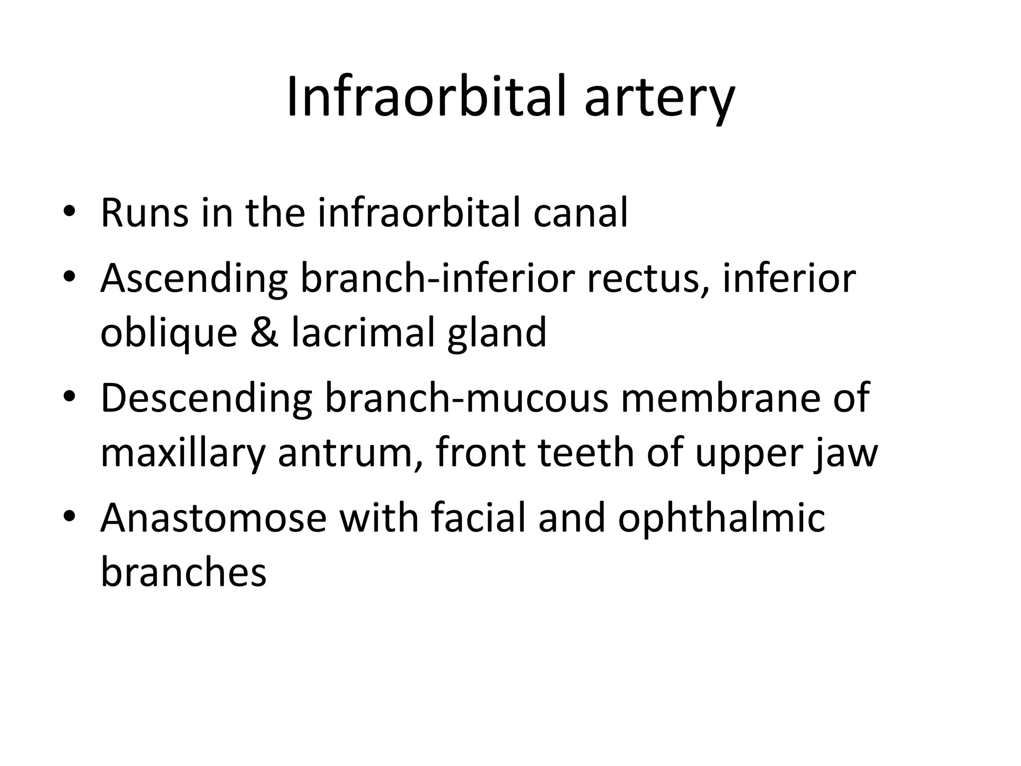 Internal maxillary artery & its branches | PPTX