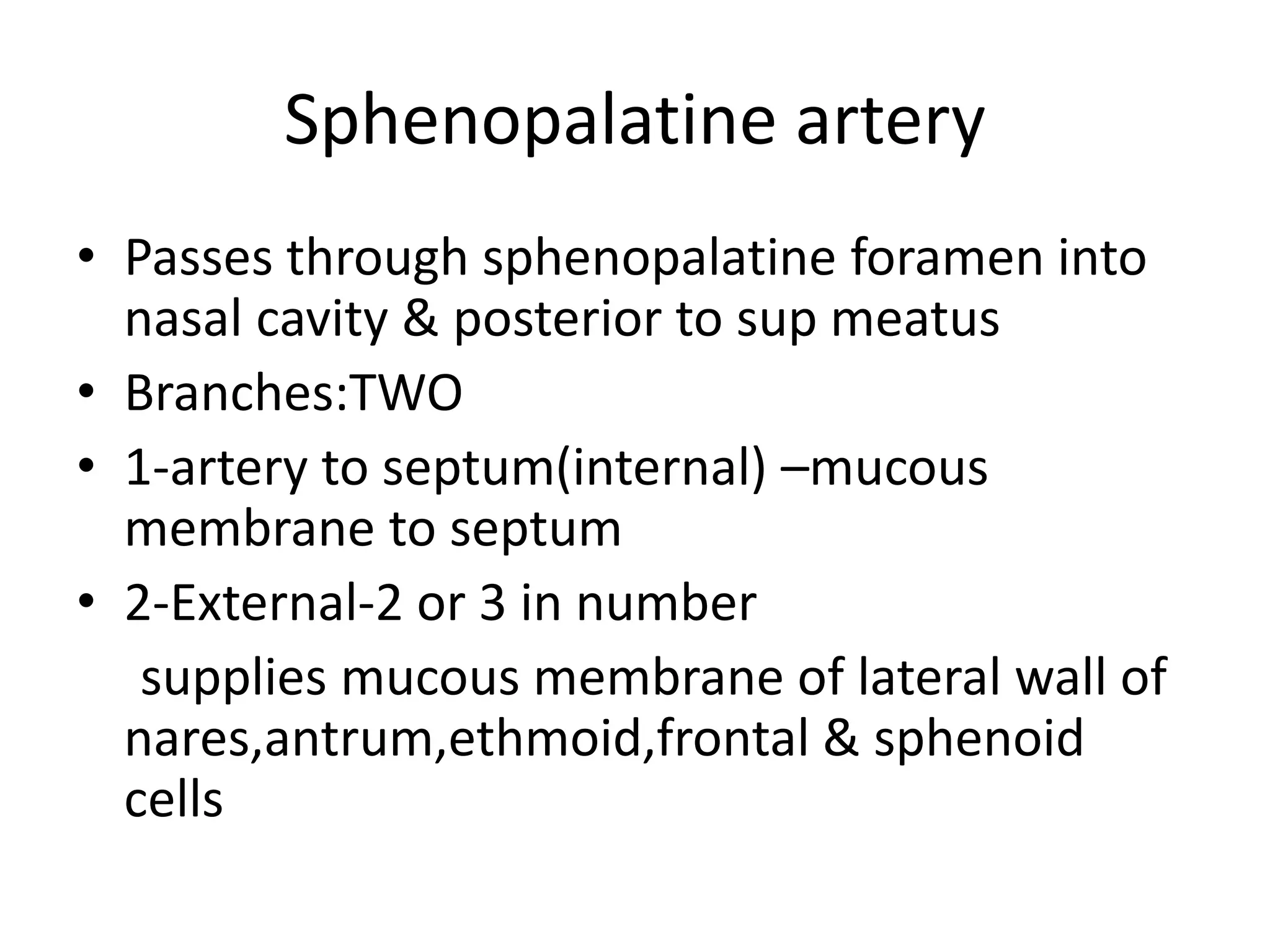 Internal maxillary artery & its branches | PPTX
