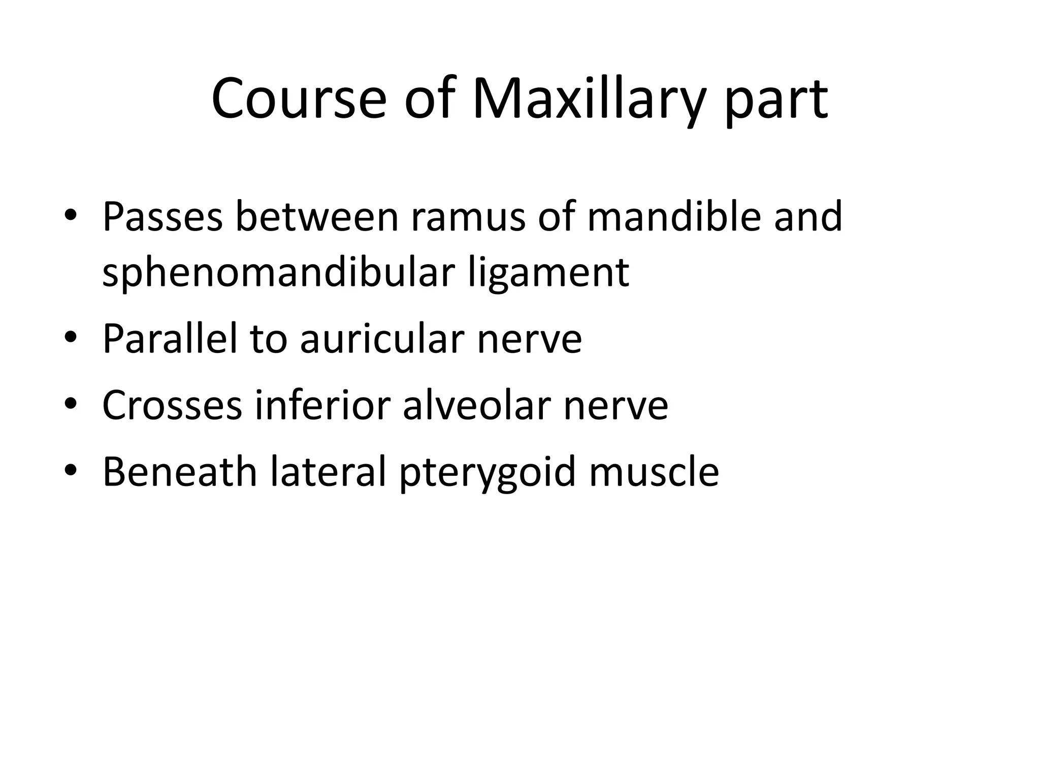 Internal maxillary artery & its branches | PPTX