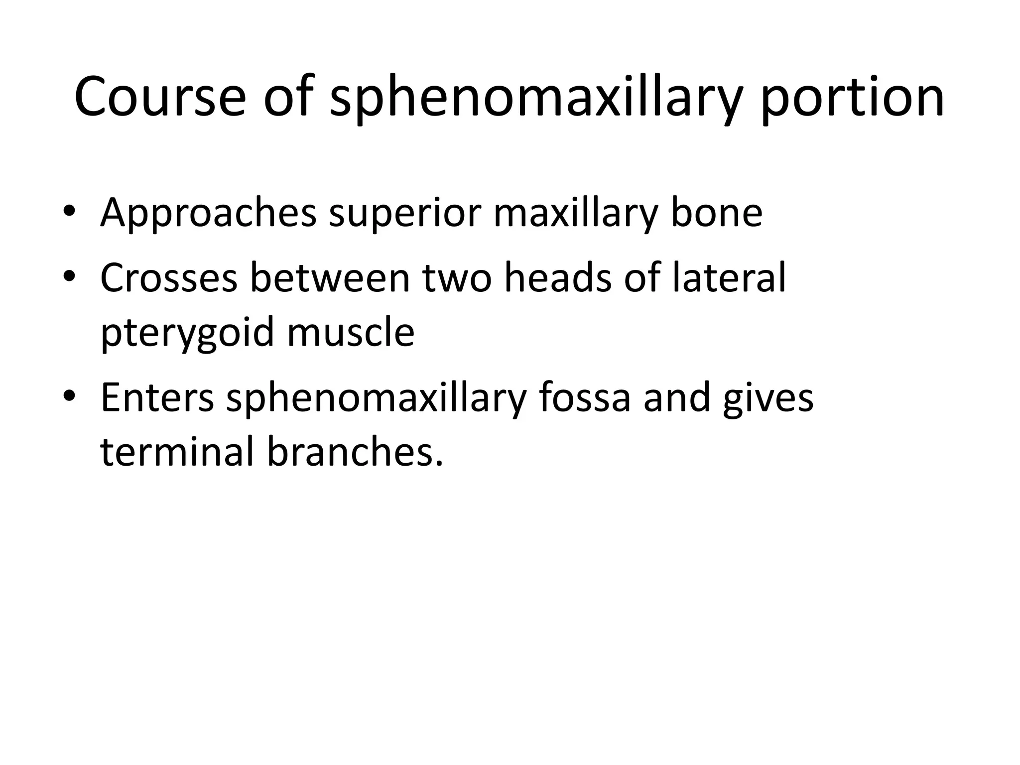Internal maxillary artery & its branches | PPTX