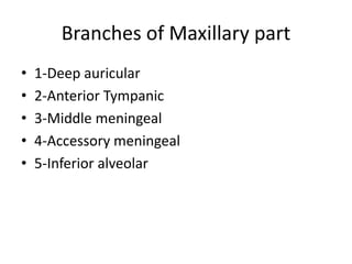 Internal maxillary artery & its branches | PPTX