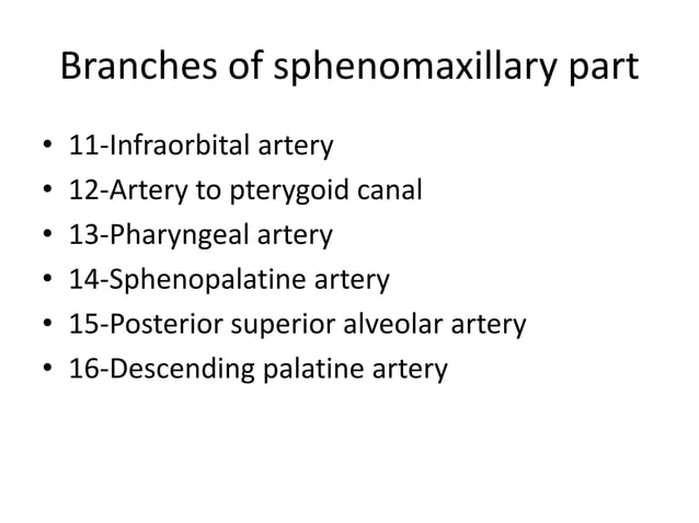 Internal maxillary artery & its branches | PPTX | Ear, Nose and Throat ...