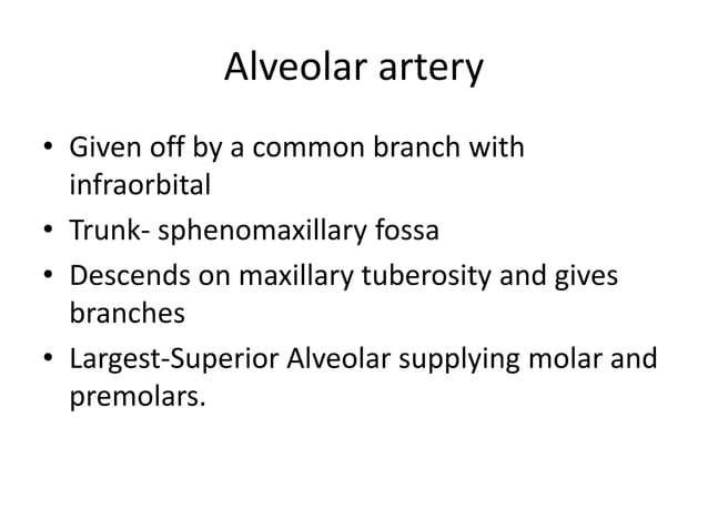 Internal maxillary artery & its branches | PPTX | Ear, Nose and Throat ...