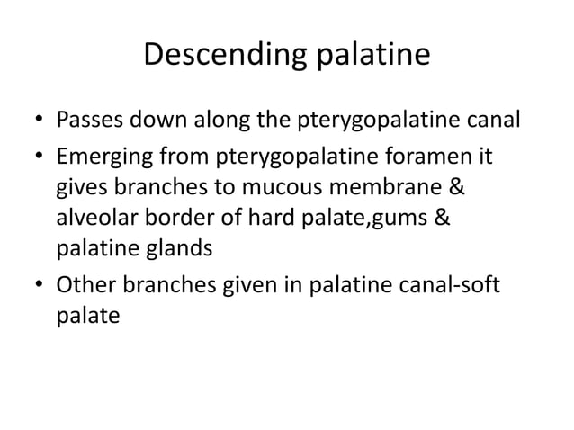 Internal maxillary artery & its branches | PPTX | Ear, Nose and Throat ...