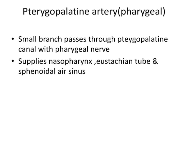 Internal maxillary artery & its branches | PPTX | Ear, Nose and Throat ...