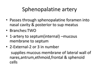 Internal maxillary artery & its branches | PPTX