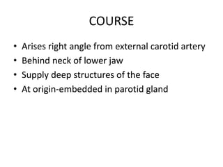 Internal maxillary artery & its branches | PPTX