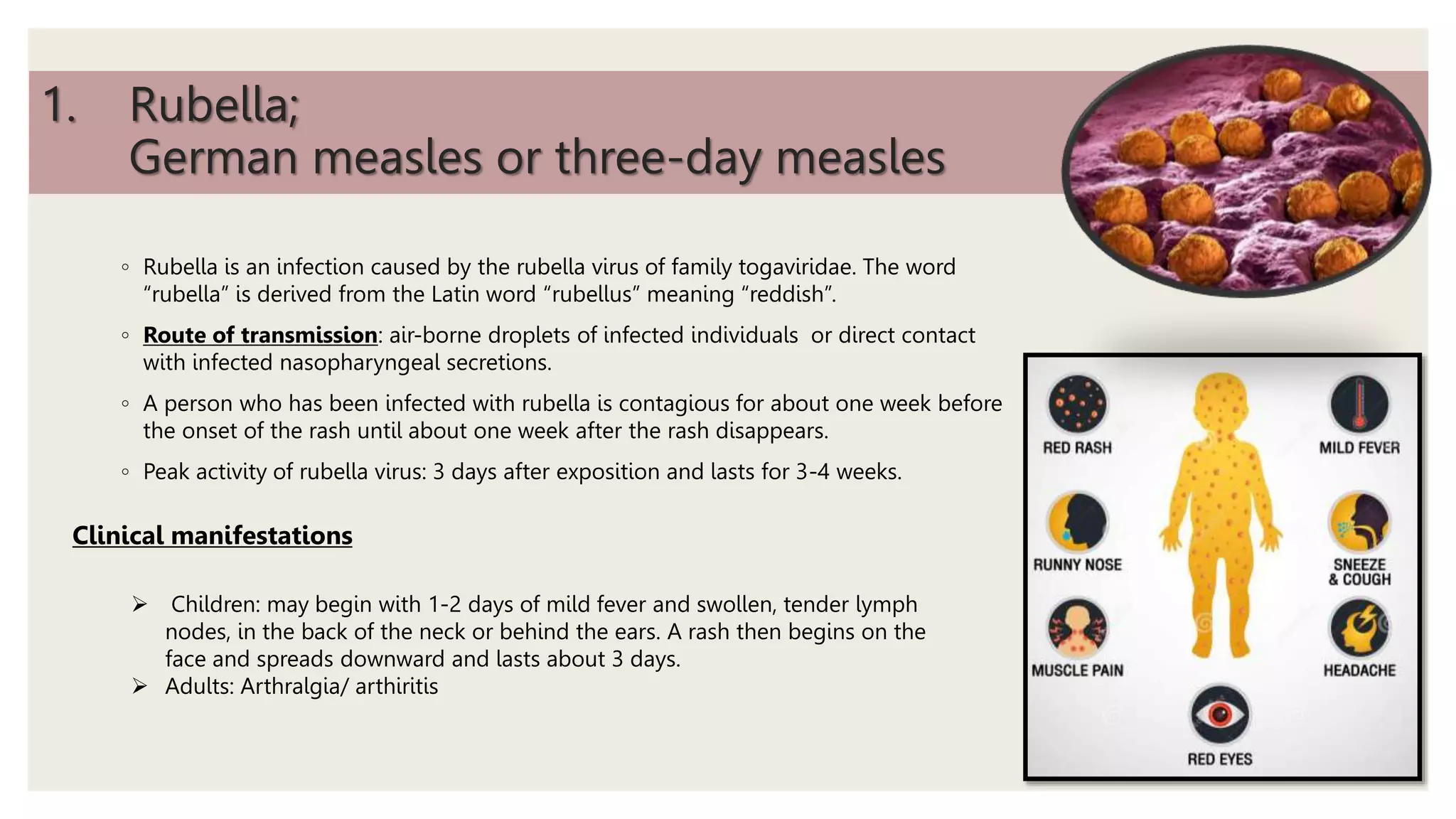 Measles and Rubella | PPTX