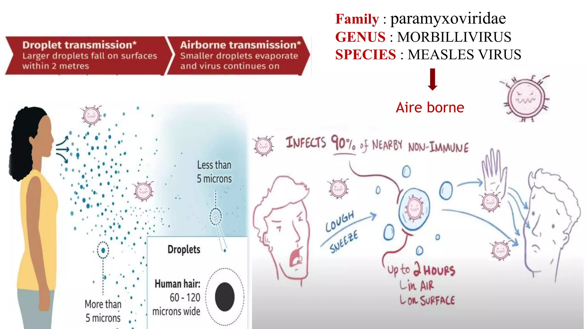 Measles and Rubella | PPTX