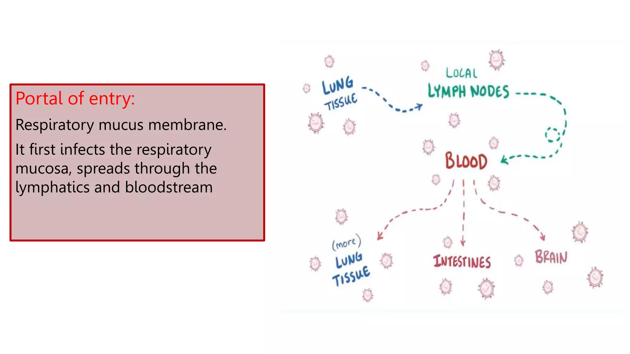 Measles and Rubella | PPTX