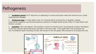 Measles and Rubella | PPT