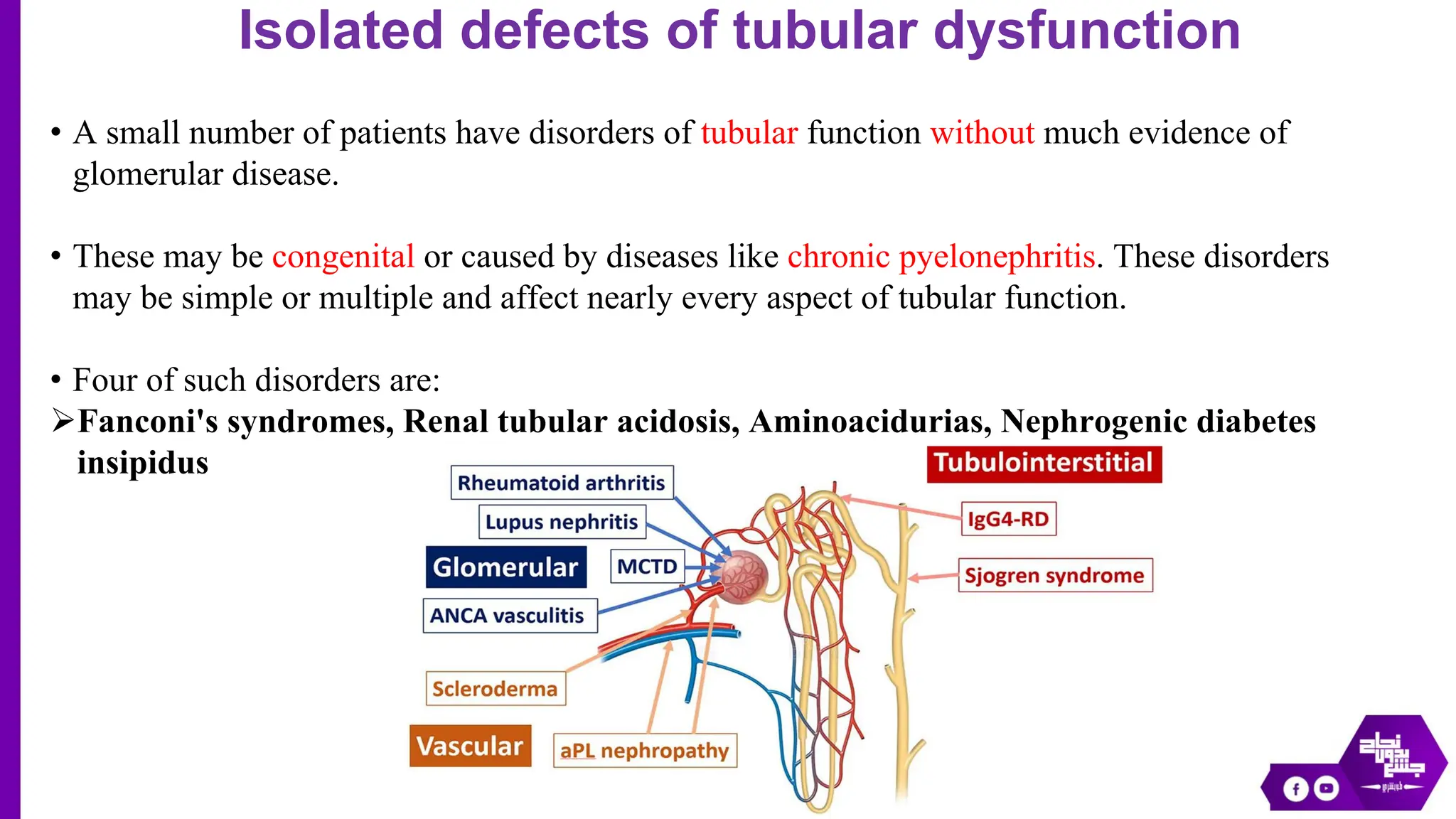 Update of nephrological disease 2024&&£&& | PDF