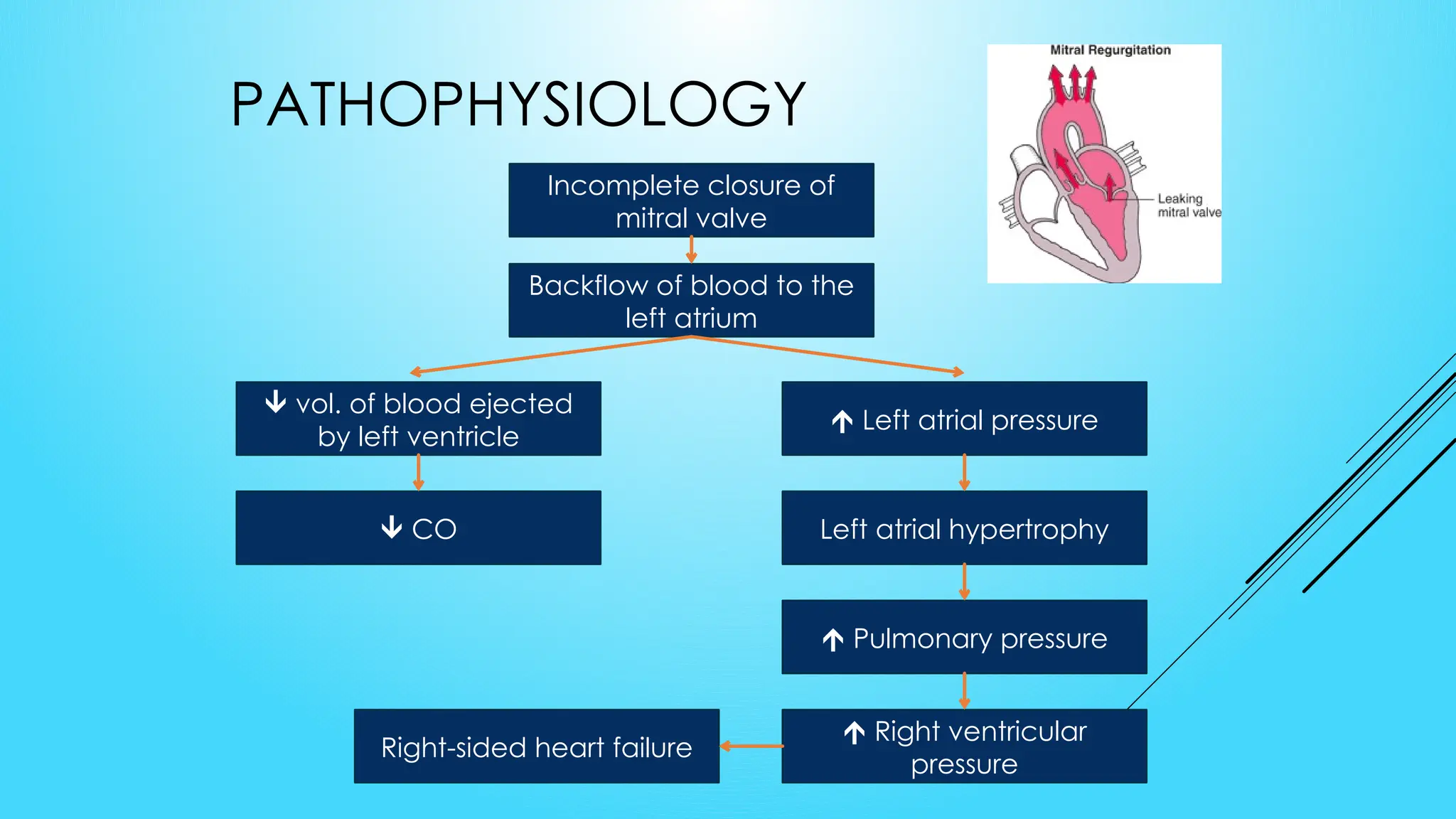 --INTERNAL_MEDICINE_GROUP FOUR(4)_PRESENTATION.pptx