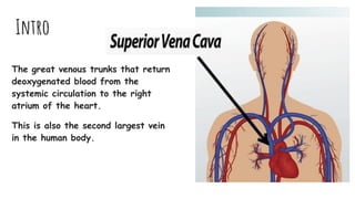 Dilated Veins on the chest walls | PDF