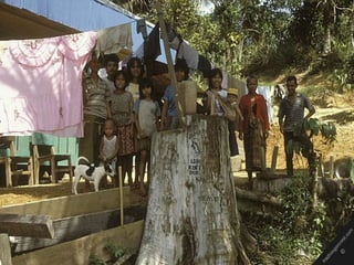 Internal migration lesson 5 | PPTX