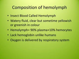 Internal morphology circulatory system | PPTX | Heart and ...