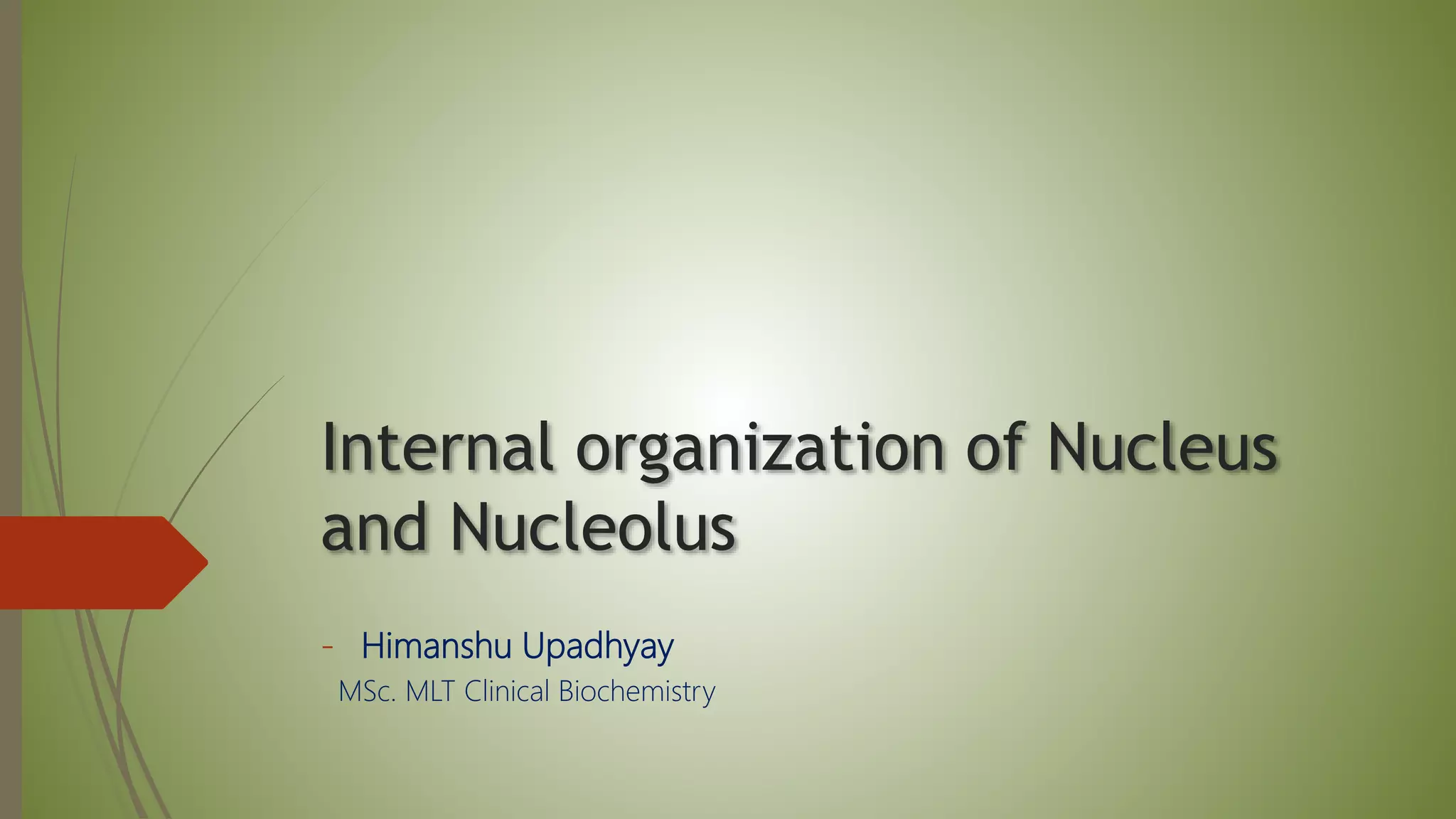 Internal organization of nucleus and nucleolus | PPTX
