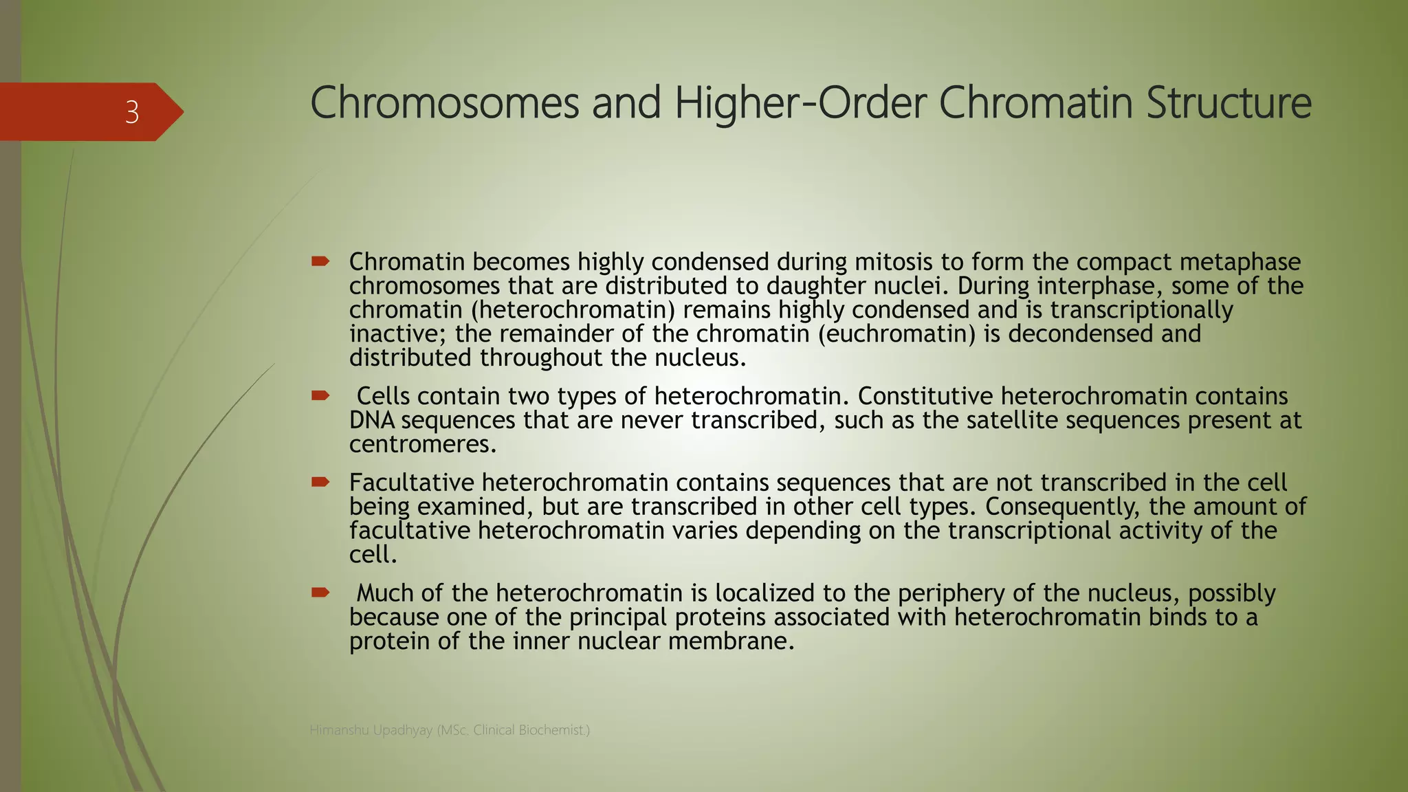 Internal organization of nucleus and nucleolus | PPTX