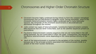 Internal organization of nucleus and nucleolus | PPTX