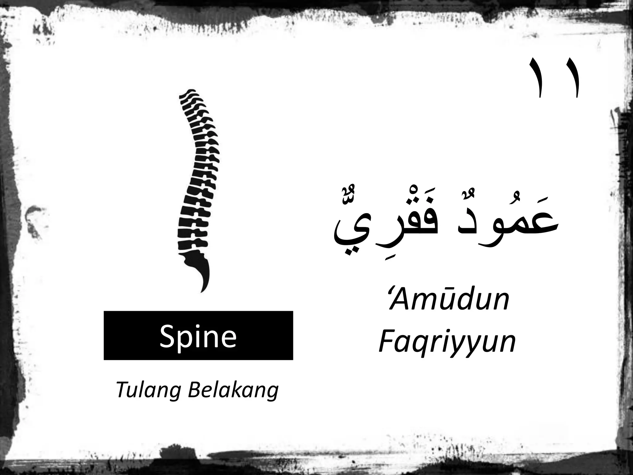 BAHASA ARAB - Organ Dalaman (Internal Organs) | PPT
