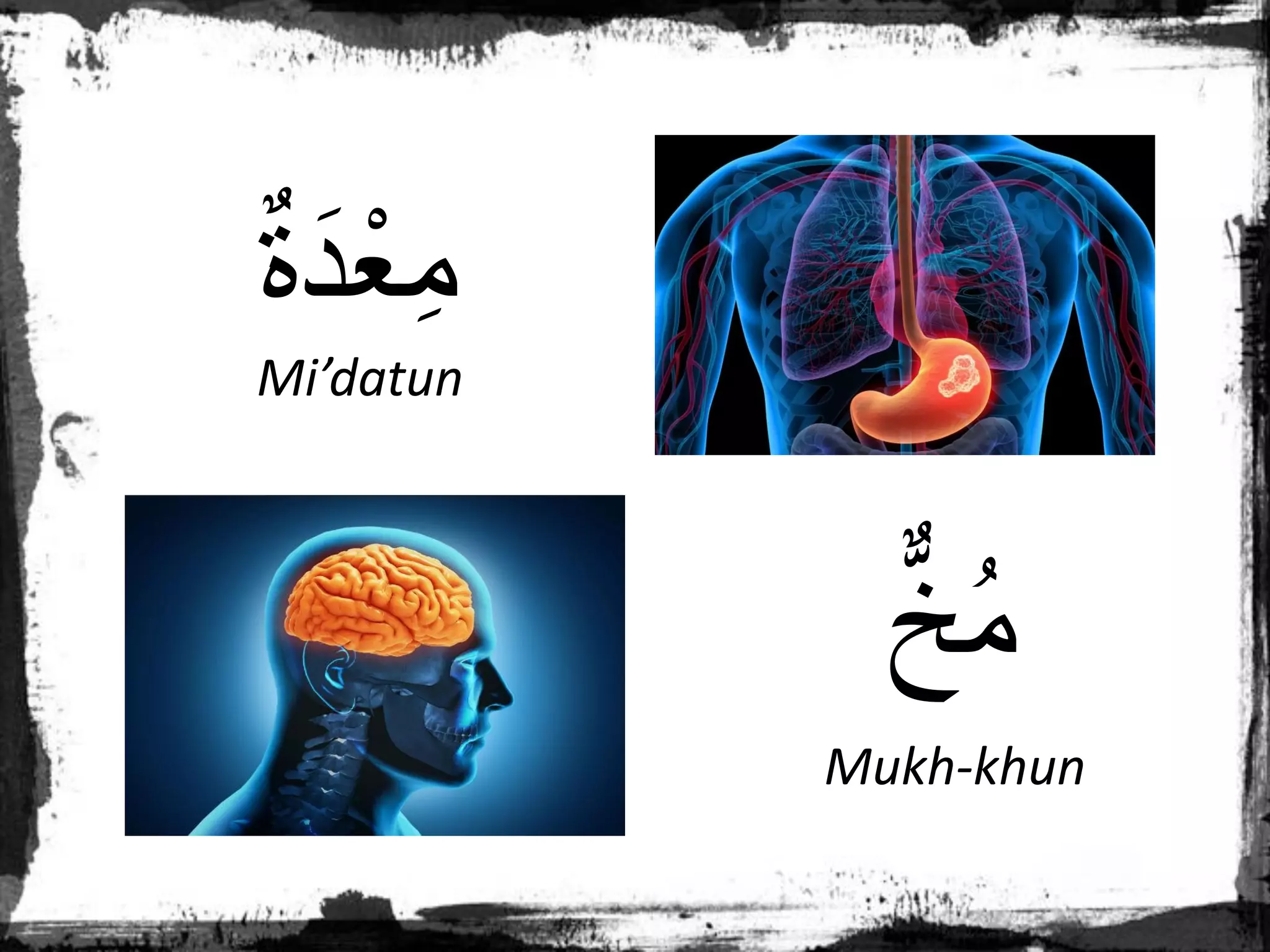 BAHASA ARAB - Organ Dalaman (Internal Organs) | PPT