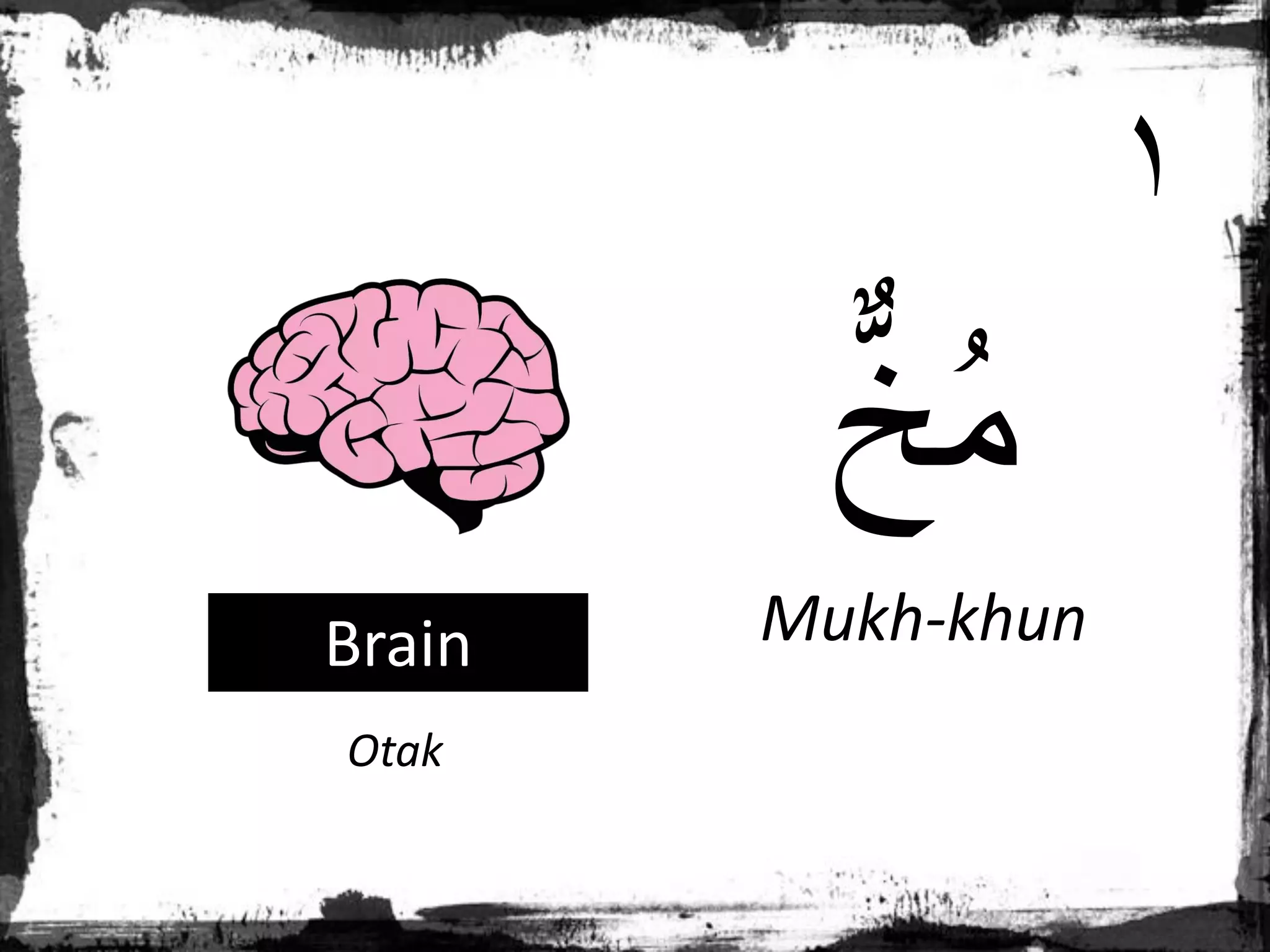 BAHASA ARAB - Organ Dalaman (Internal Organs) | PPT