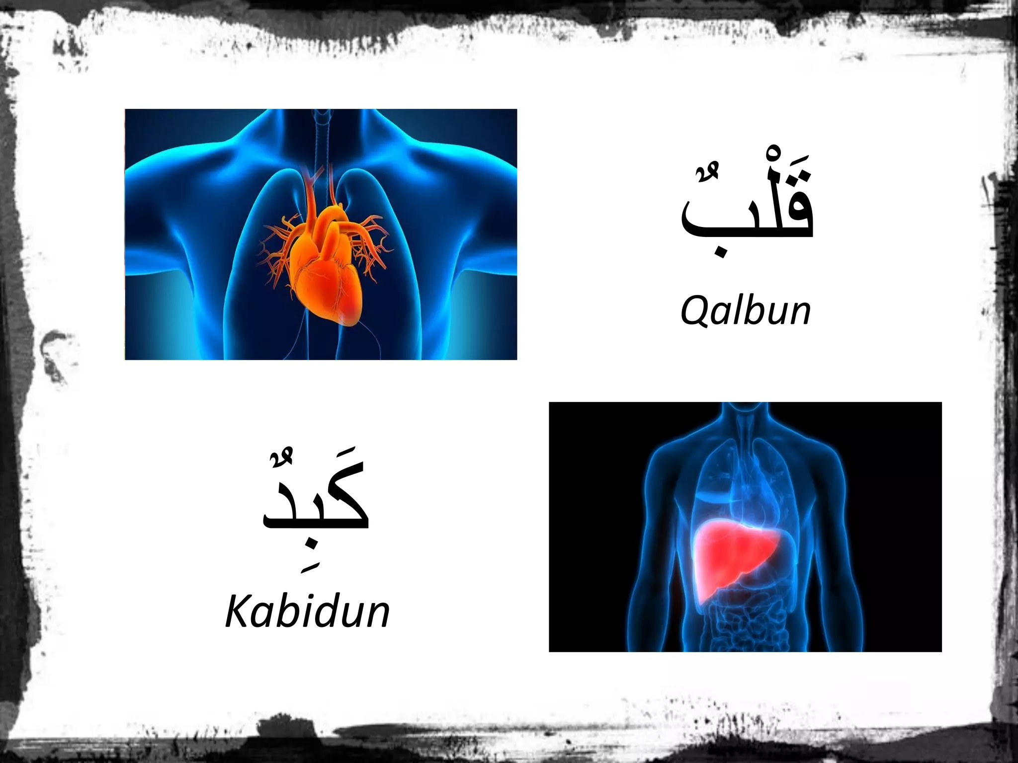BAHASA ARAB - Organ Dalaman (Internal Organs) | PPT