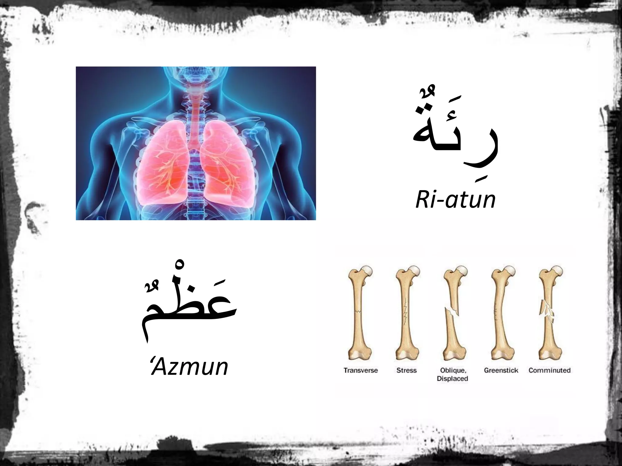 BAHASA ARAB - Organ Dalaman (Internal Organs) | PPT