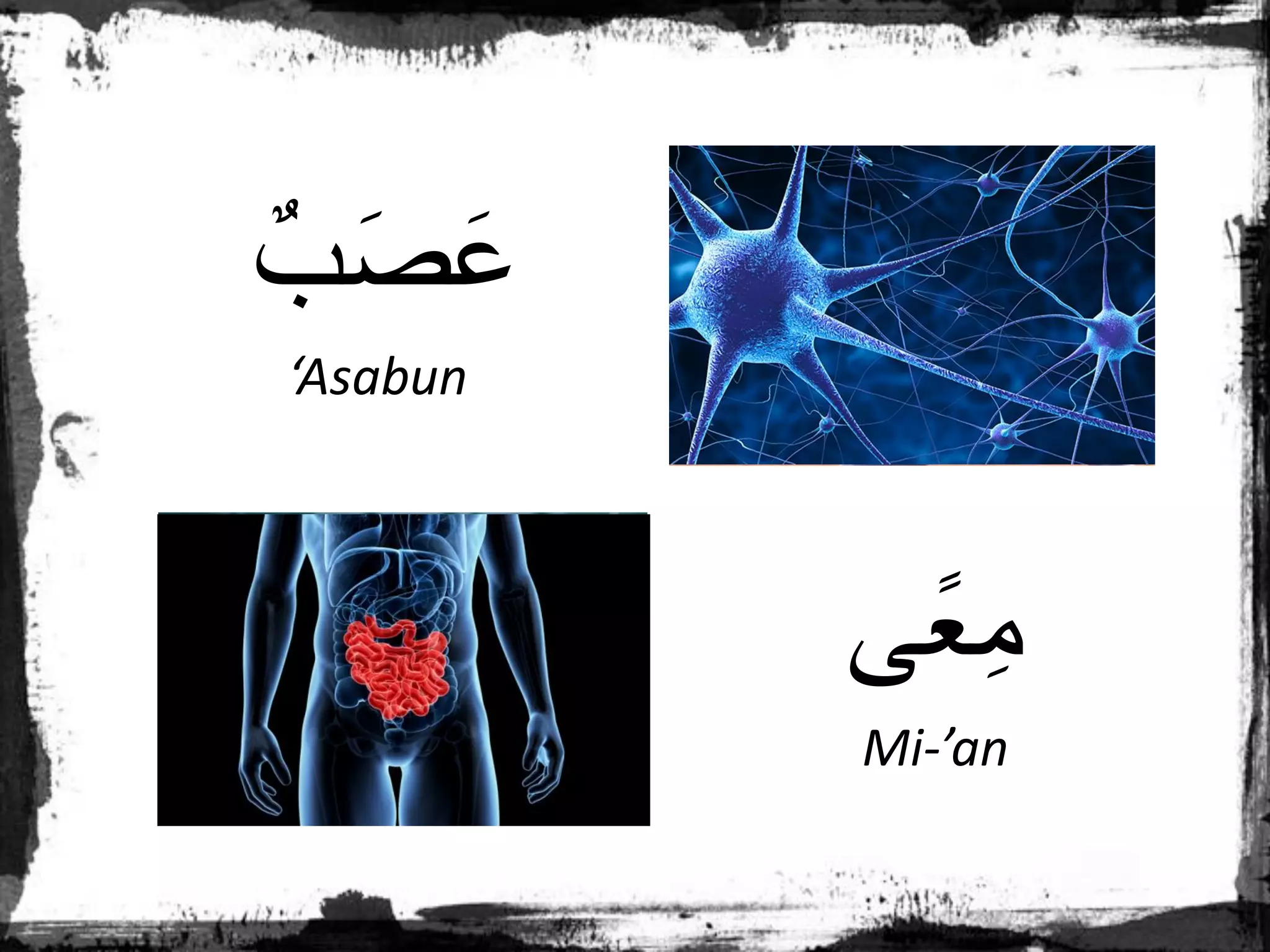 BAHASA ARAB - Organ Dalaman (Internal Organs) | PPT