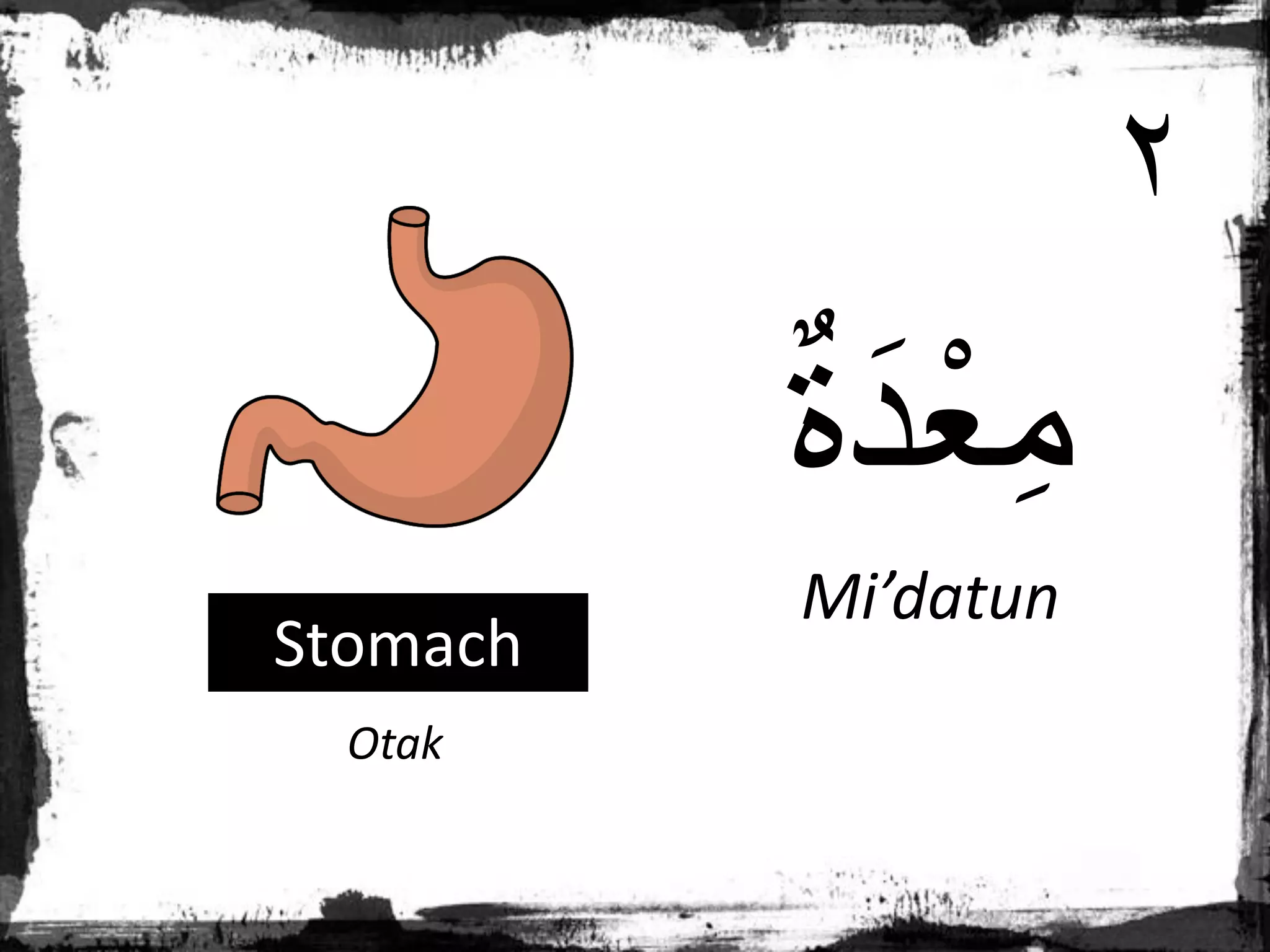 BAHASA ARAB - Organ Dalaman (Internal Organs) | PPT