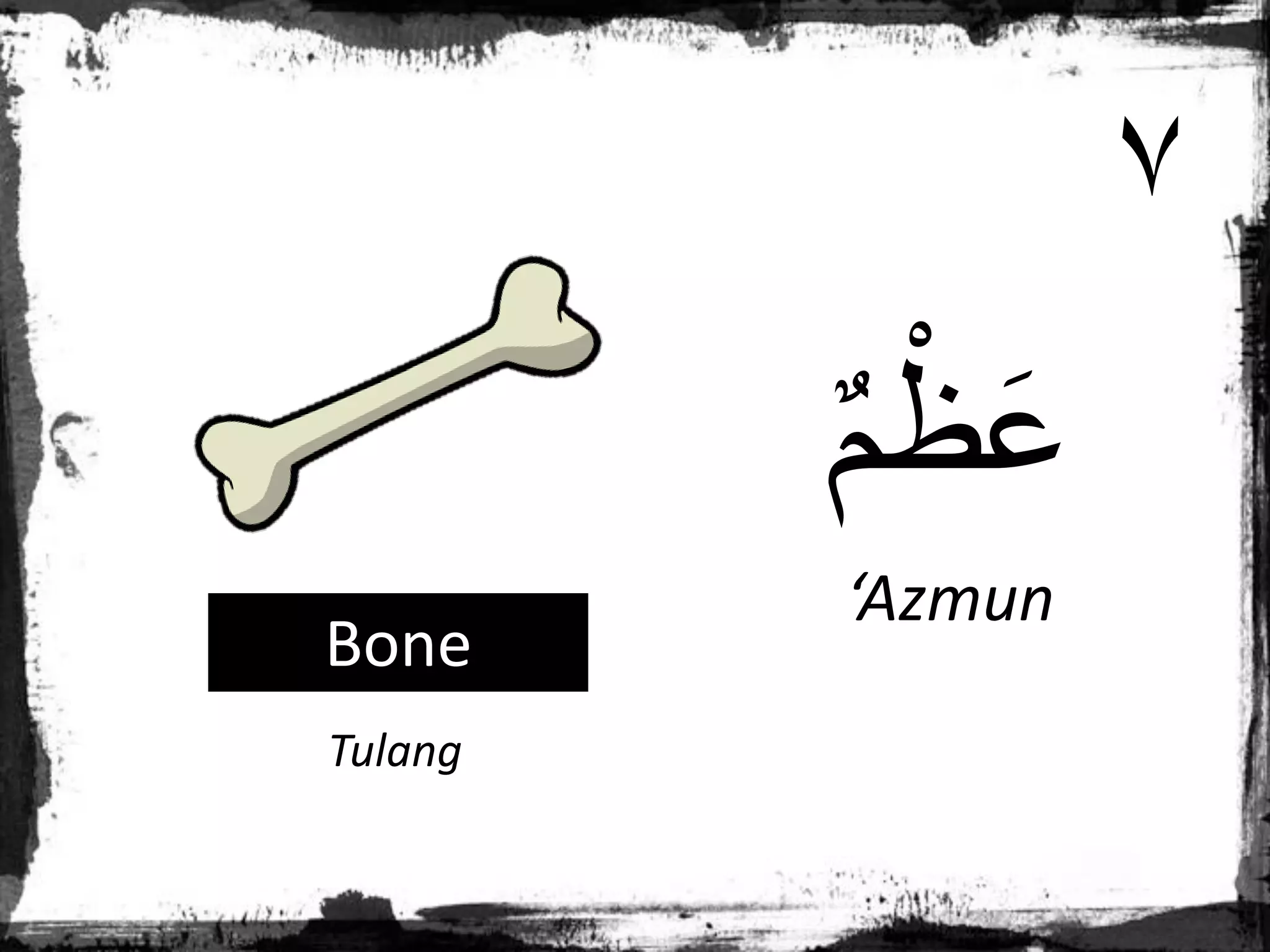 BAHASA ARAB - Organ Dalaman (Internal Organs) | PPT