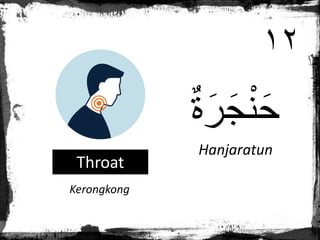 BAHASA ARAB - Organ Dalaman (Internal Organs) | PDF