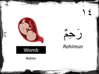 BAHASA ARAB - Organ Dalaman (Internal Organs) | PDF